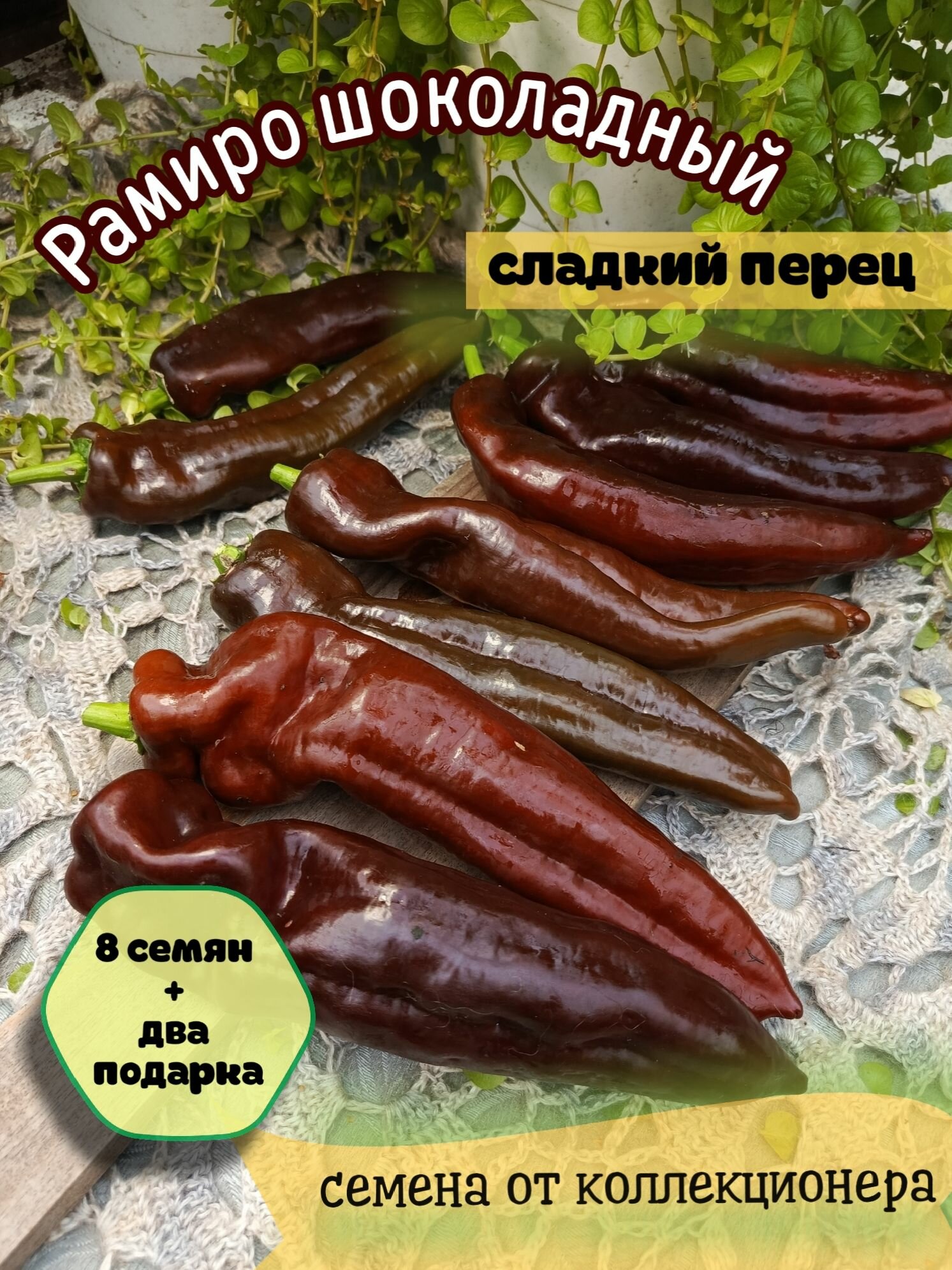 Перец сладкий "Рамиро шоколадный", селекция Испании