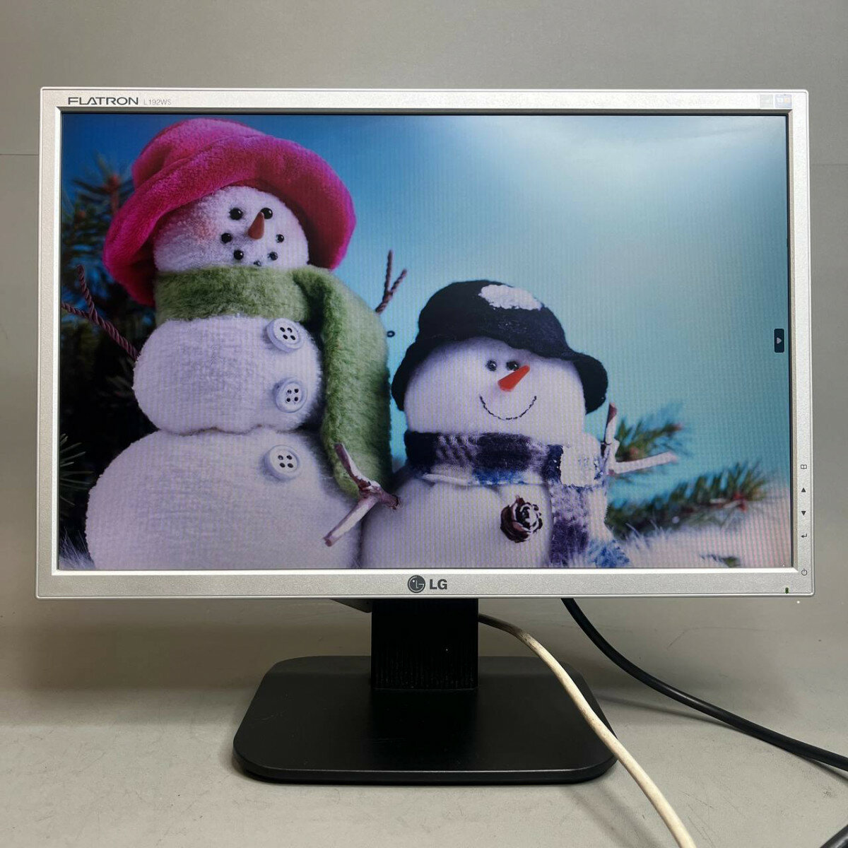 19' Монитор LG Flatron L192WS, 1440x900, 75 Гц, TN, серый