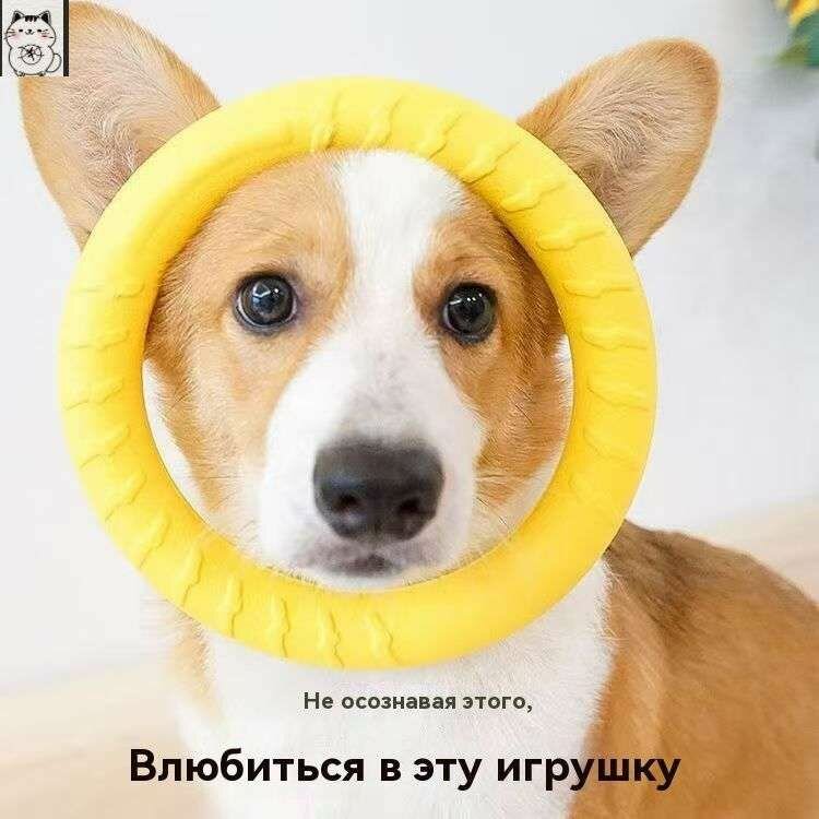 Пуллер кольцо для собак мелких и средних пород