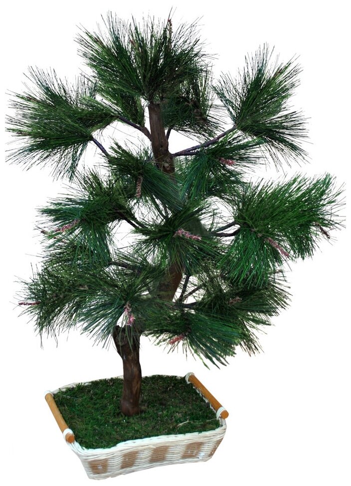 Искусственный бонсай из веток сосны от бренда Holodilova