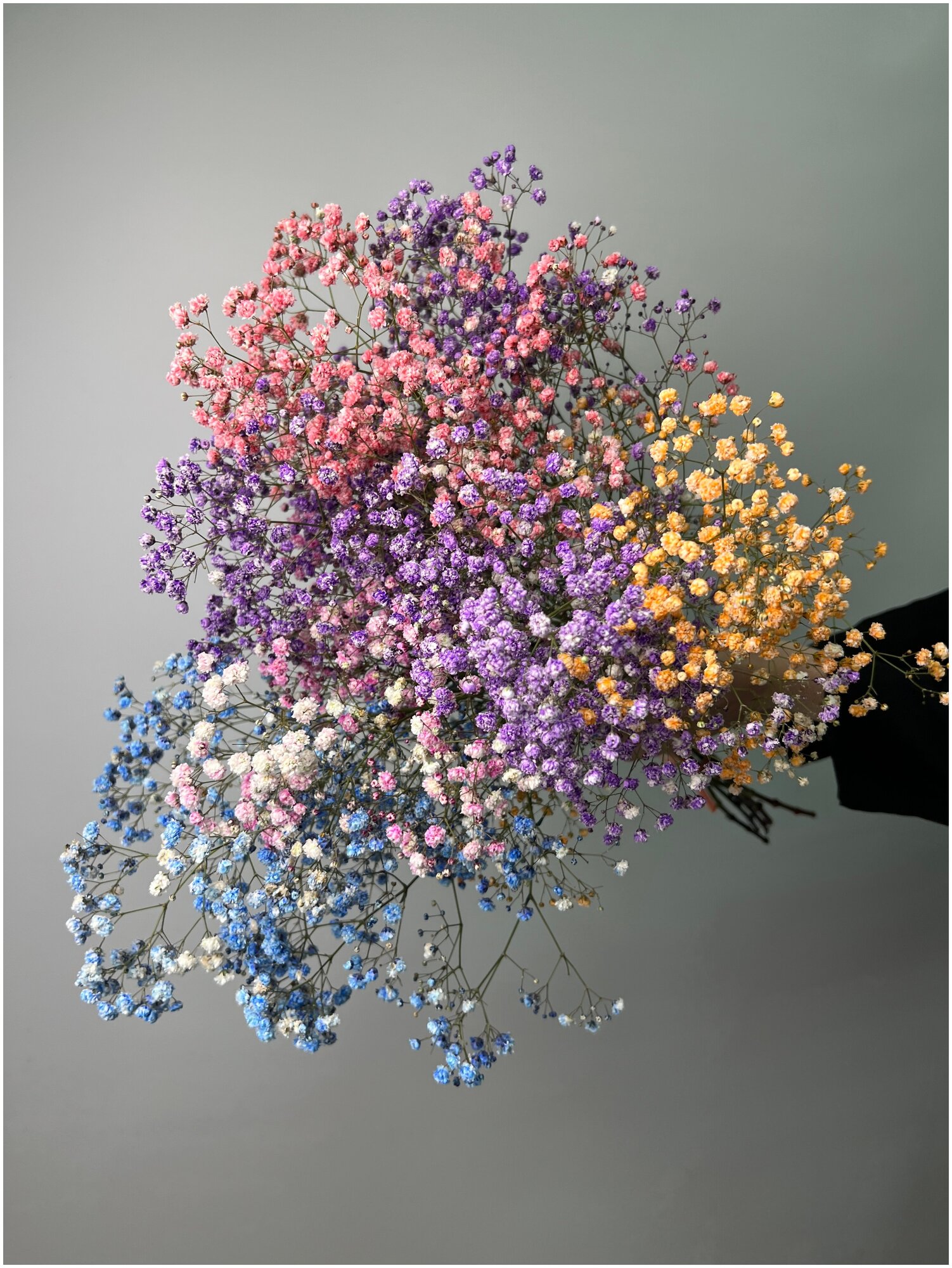 Букет цветов "Гипсофила радужная" гипсофила, 9 шт, разноцветный, высота 60 см