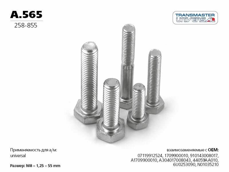 Болт крепежный M8x55MM TRANSMASTER A.565
