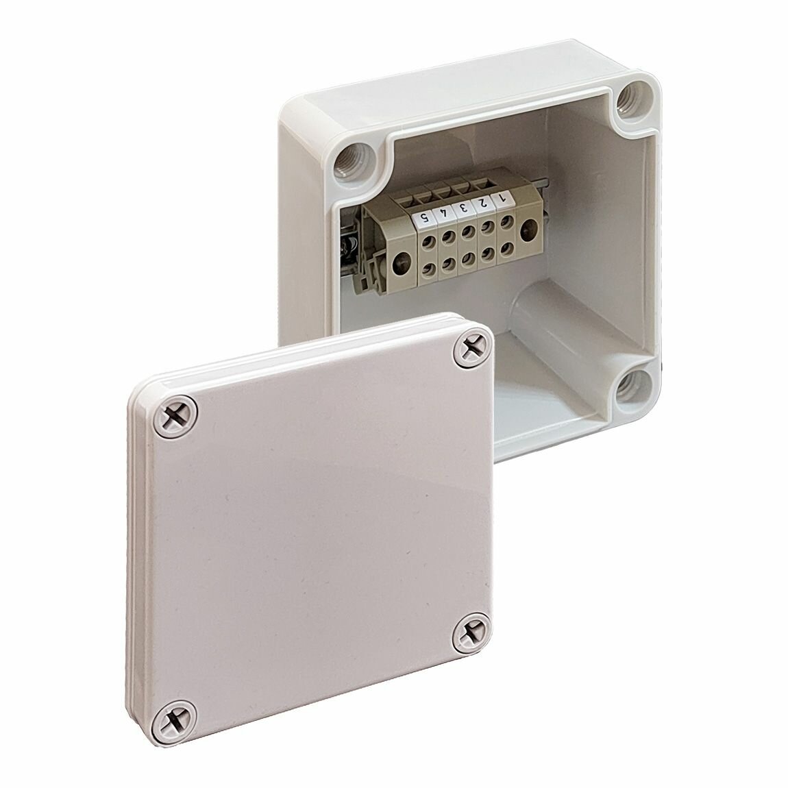 Корпус 100х100х75 мм, с винтовыми клеммами на рейке, R15-5x4, IP67, AG-101008-R05