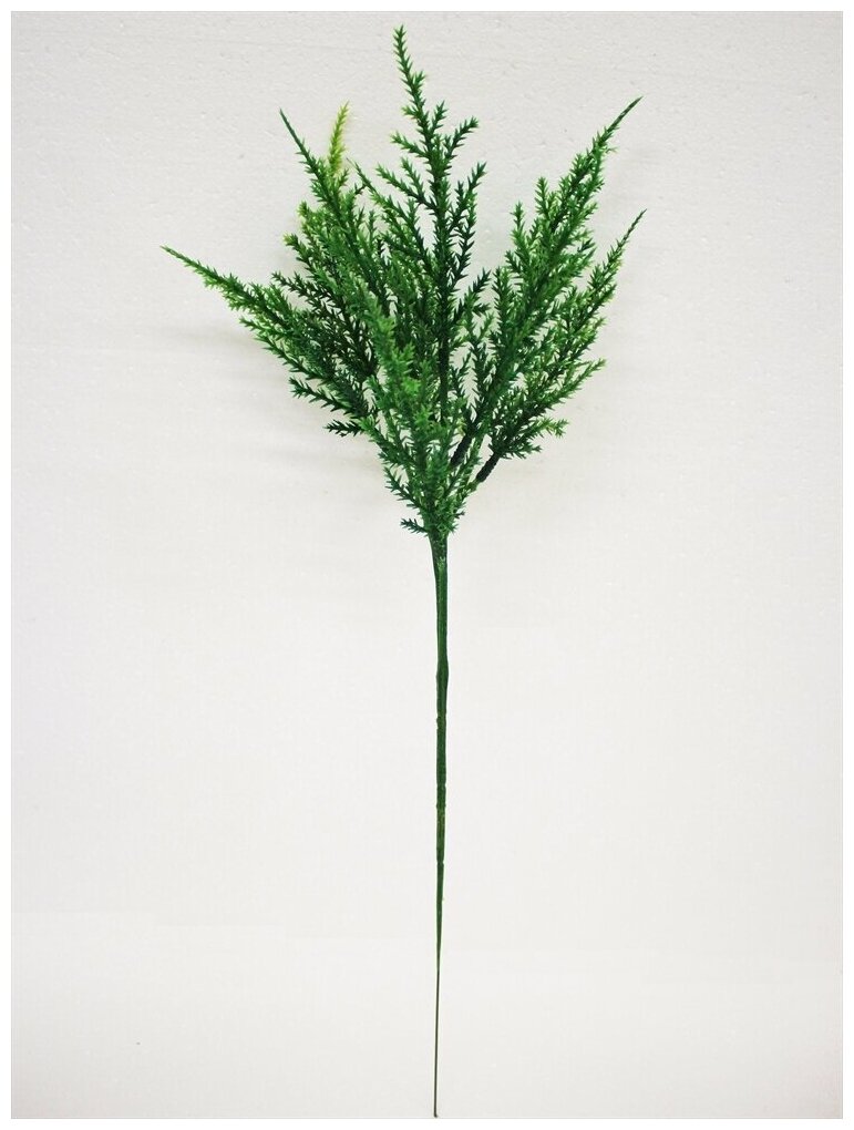 Ветка кипариса искусственная 555273, высота 60 см. (Комплект из 2 шт.), бренд CONEKO - декор для дома и офиса