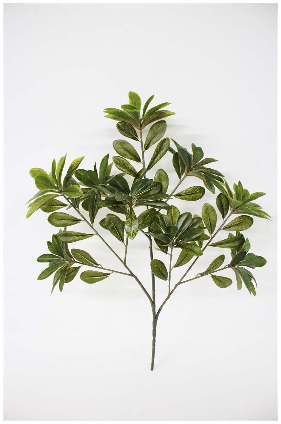 Ветка лучелистной шеффлеры искусственная 43 см, бренд CONEKO - декор для дома и офиса