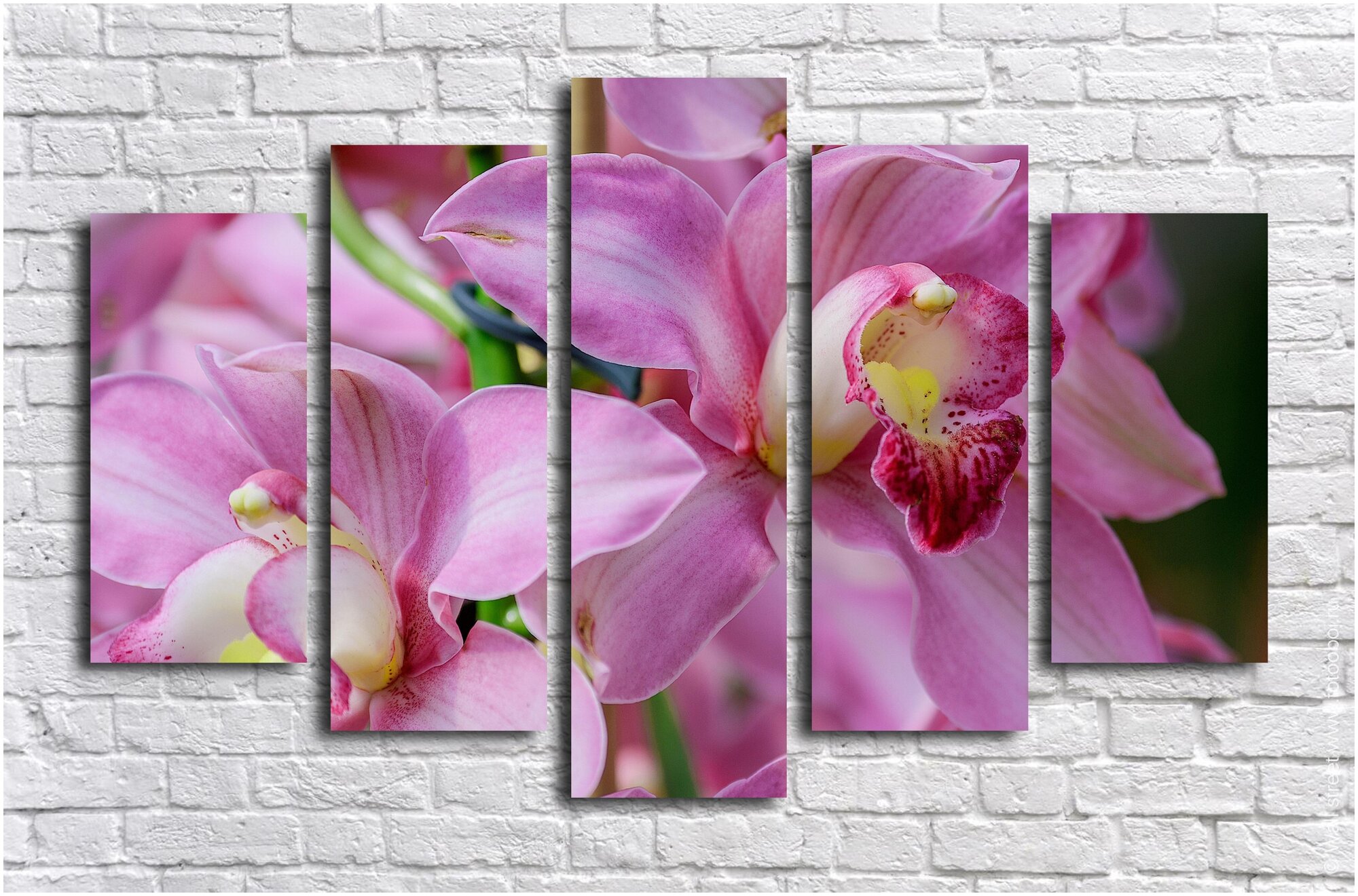 Модульная картина для интерьера / Картина на стену Орхидеи розовые 140x80 см