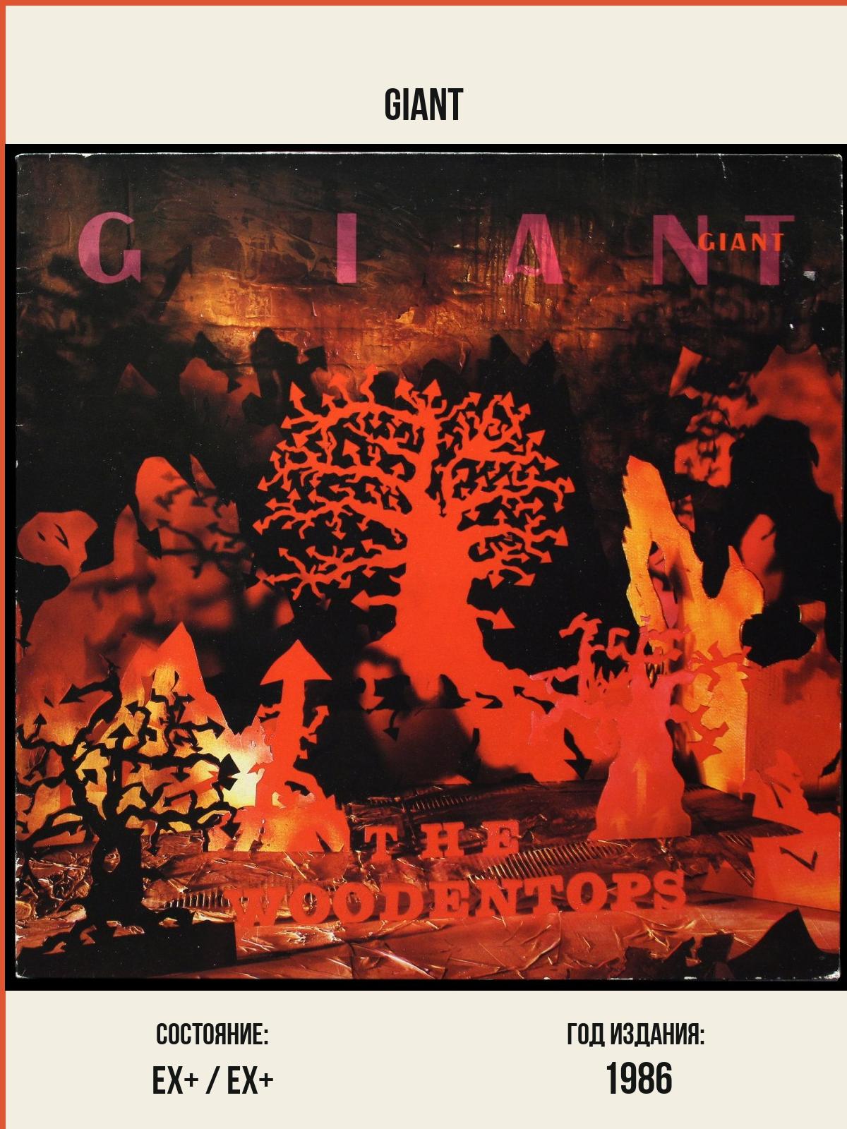 Виниловая пластинка Rough Trade Woodentops – Giant