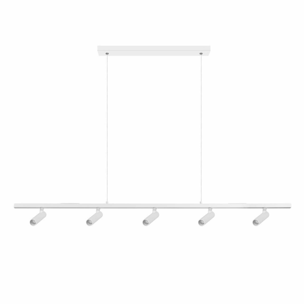 10260/5 White Подвесной светильник LOFT IT Sign