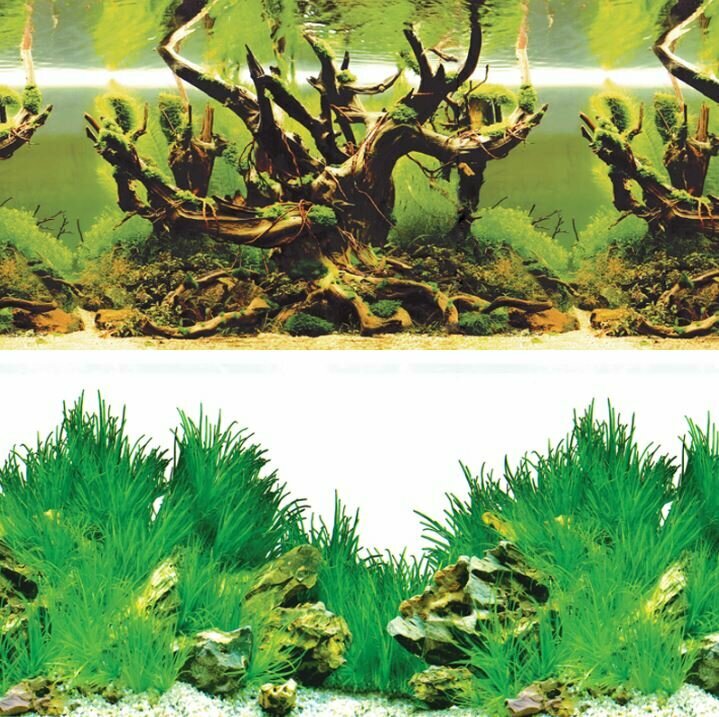 Laguna Фон двусторонний аквариумный "Таинственный лес/Новое утро", 9098/9030, 50*100см