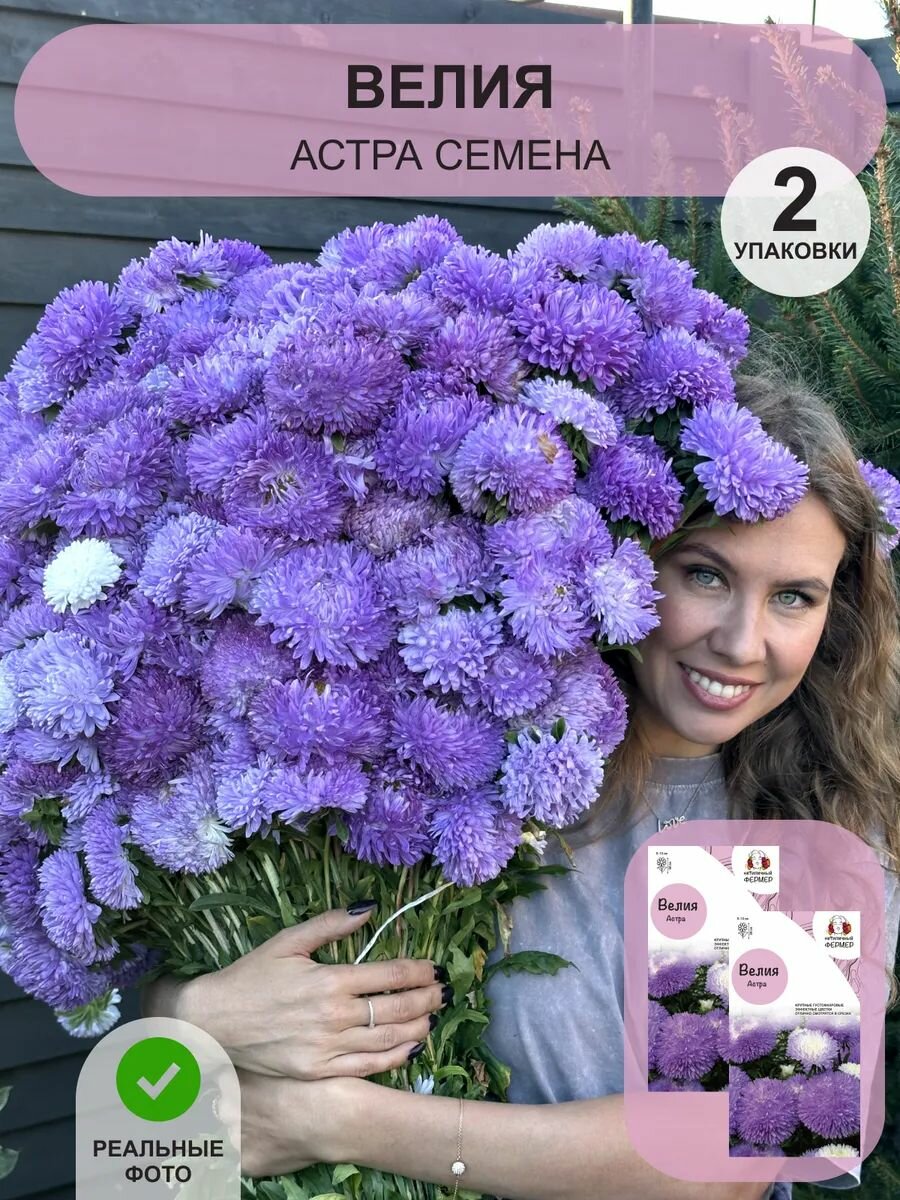 Семена Нетипичный фермер "Велия", астра, махровая, однолетняя, посадка февраль-апрель, 2шт