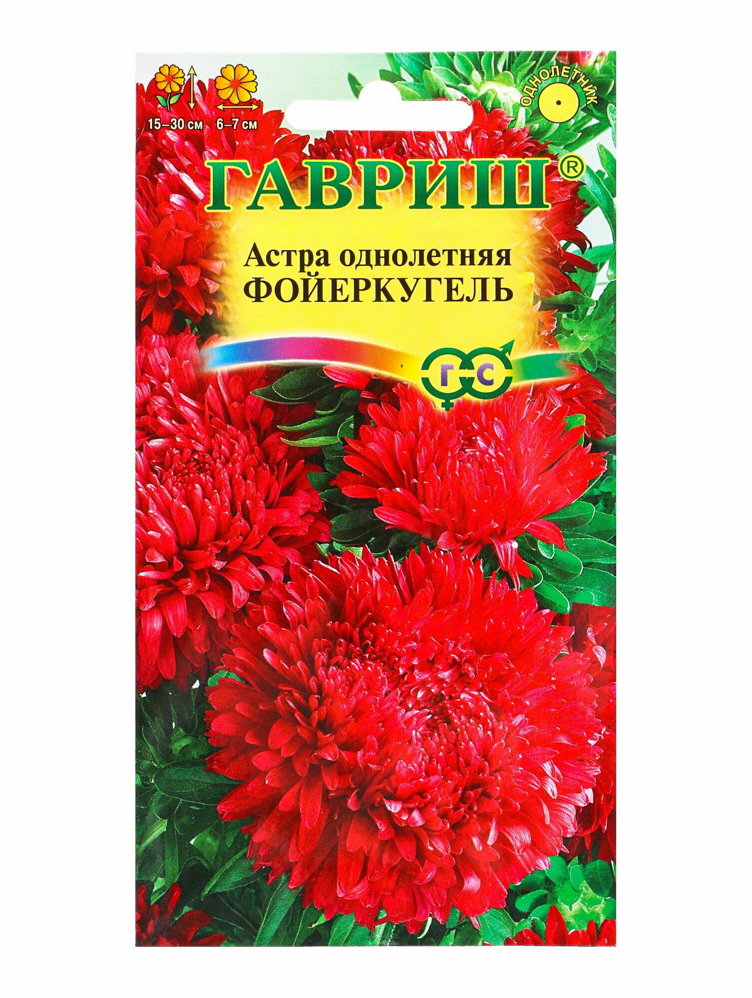 Семена цветов Астра однолетняя "Фойеркугель" 0.3 г, цветение период: август, 6 шт.