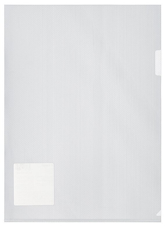 Expert Complete Premier папка-уголок A4 180 мкм диагональная прозрачная ЕС22040