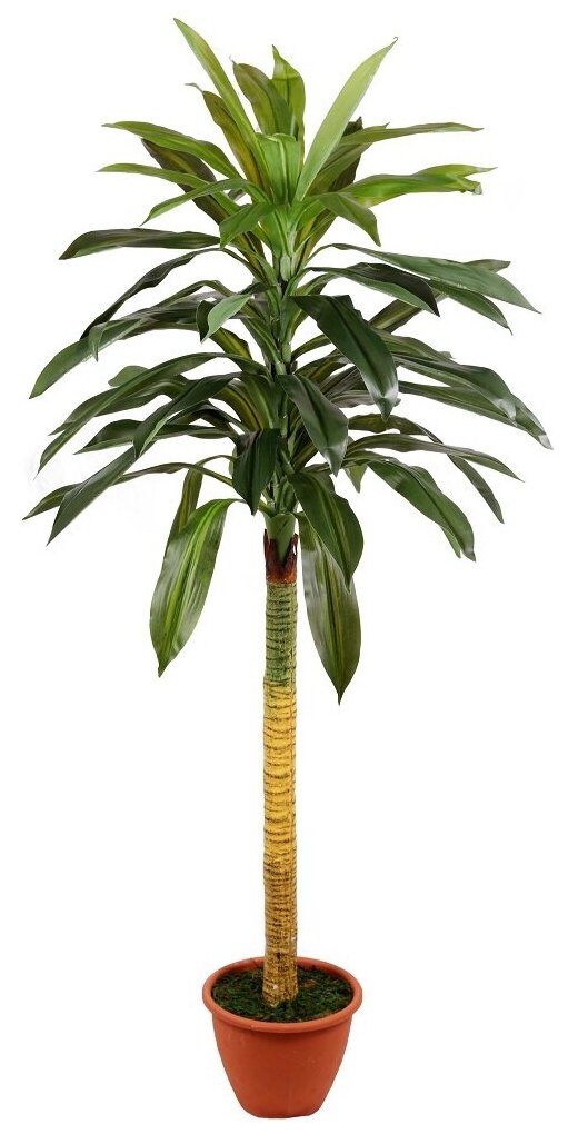 Искусственная пальма Holodilova "Ikea", высота 1 м, зеленая, латекс, декоративная емкость, горшок