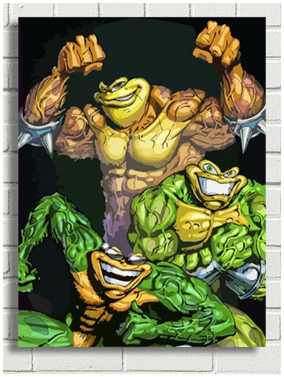 Картина по номерам Игра battletoads (боевые черепахи, ретро, 16 bit, 8 bit) - 8271 В 30x40