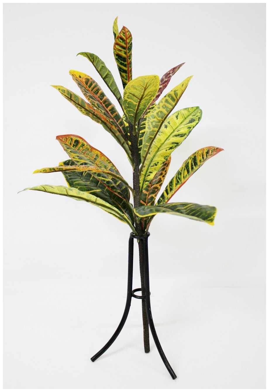 Кротон -куст 73 см, бренд CONEKO - декор для дома и офиса