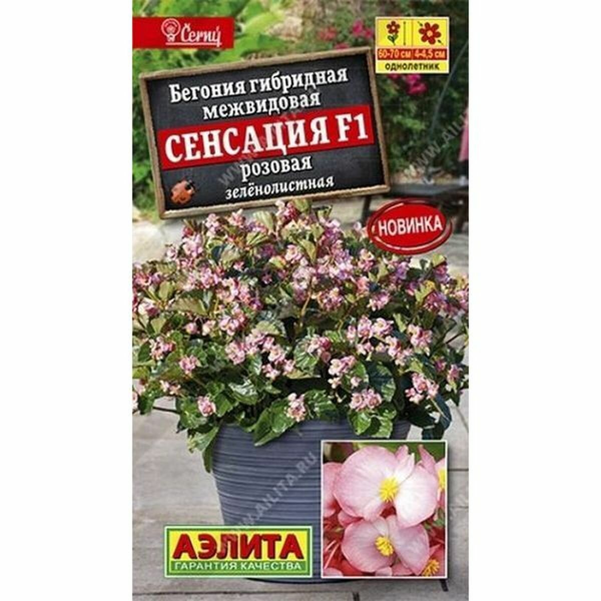 Семена Бегония Сенсация розовая, зеленолистная F1, однолетник, Аэлита, 1 пачка - 7 семян