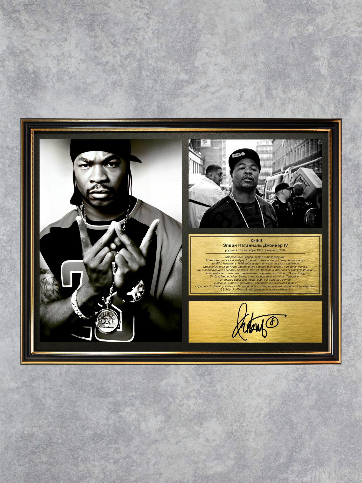 Xzibit Золотистая картина с металлическими табличками