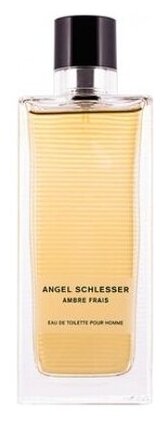 Angel Schlesser, Ambre Frais Homme, 100 мл, туалетная вода мужская