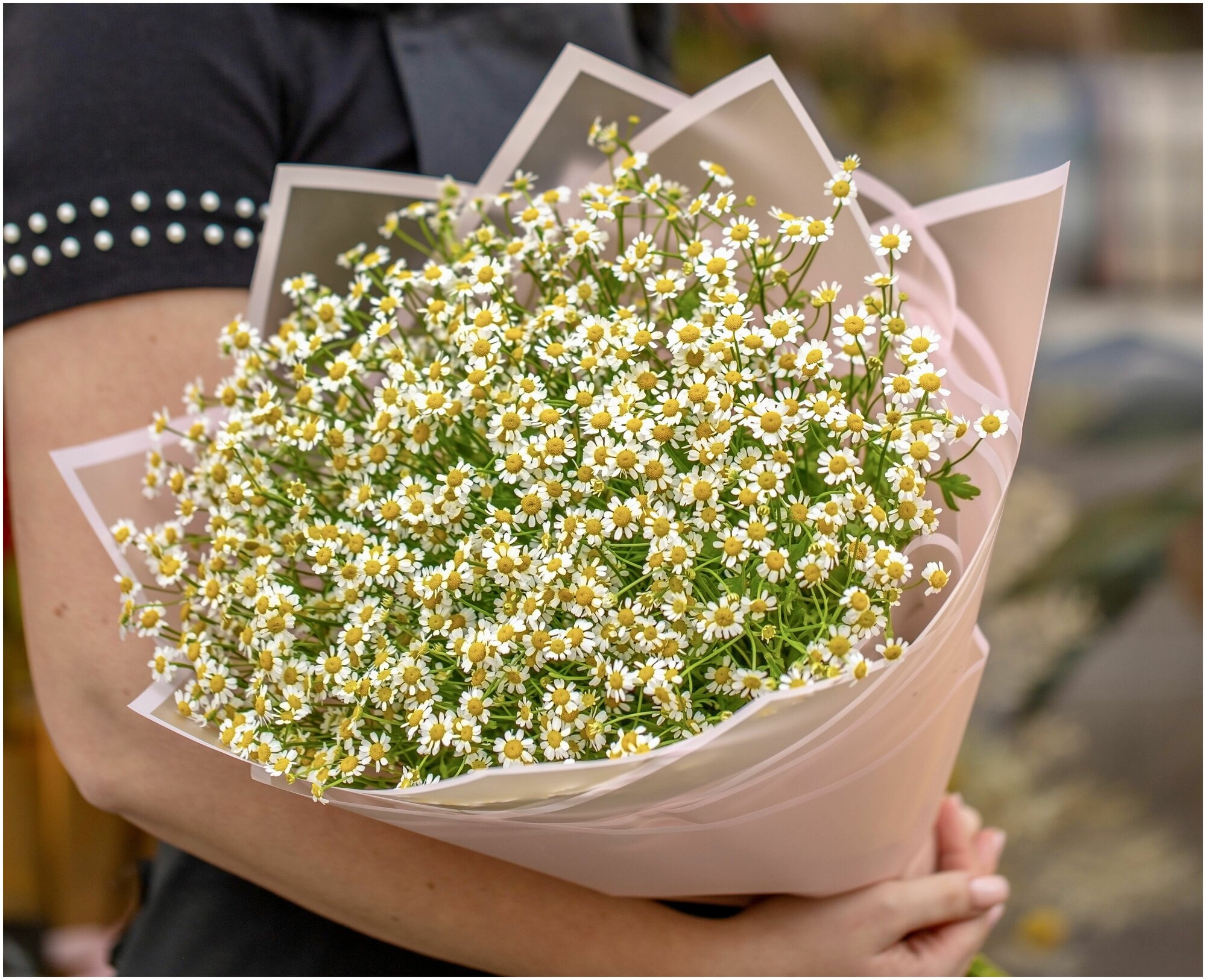 Букет с кустовыми ромашками 25 веток. Для девушки, мамы, подруги