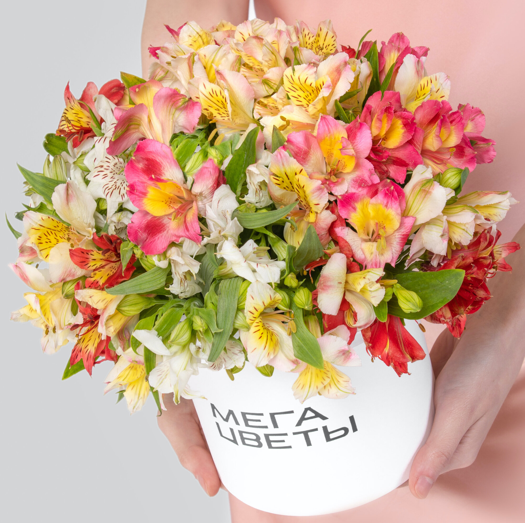 Композиция Мегацвет24 "Альстромерии Микс", 25 шт, в шляпной коробке