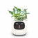 Горшок Ivy Intelligent Flower, пластик, белый, чёрный матовый