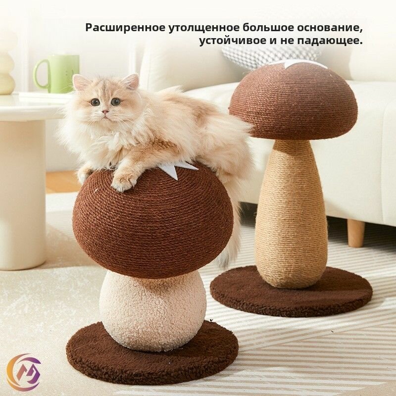 Когтеточка — фото 1
