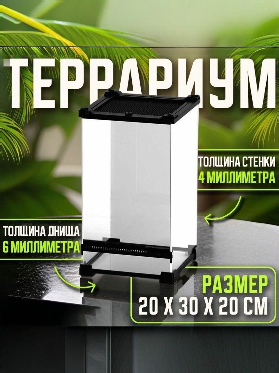 Эксклюзивный паллюдариум вертикальный с фронтальным открыванием, оснащенный железной верхней панелью и проточной циркуляцией воздуха