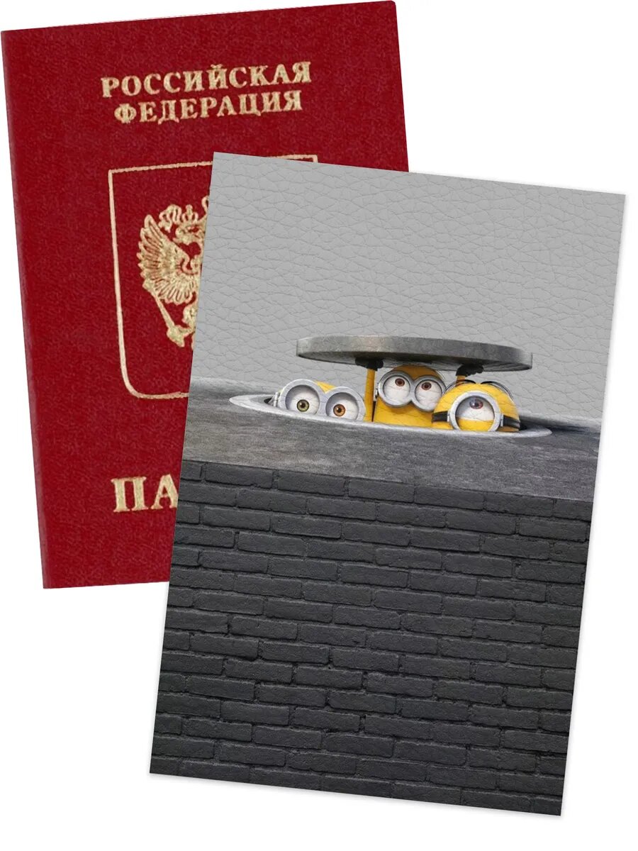 Обложка для паспорта NOOTO