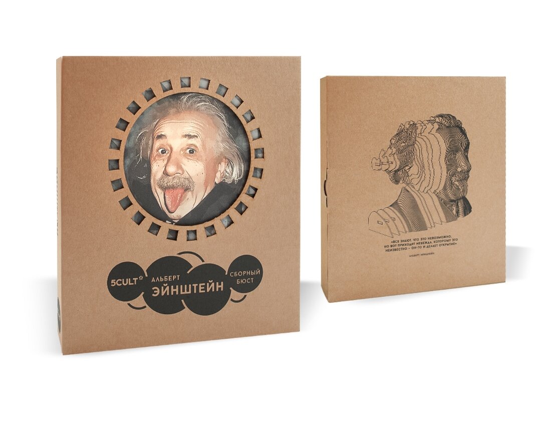3D конструктор из картона 5CULT Альберт Энштейн 2