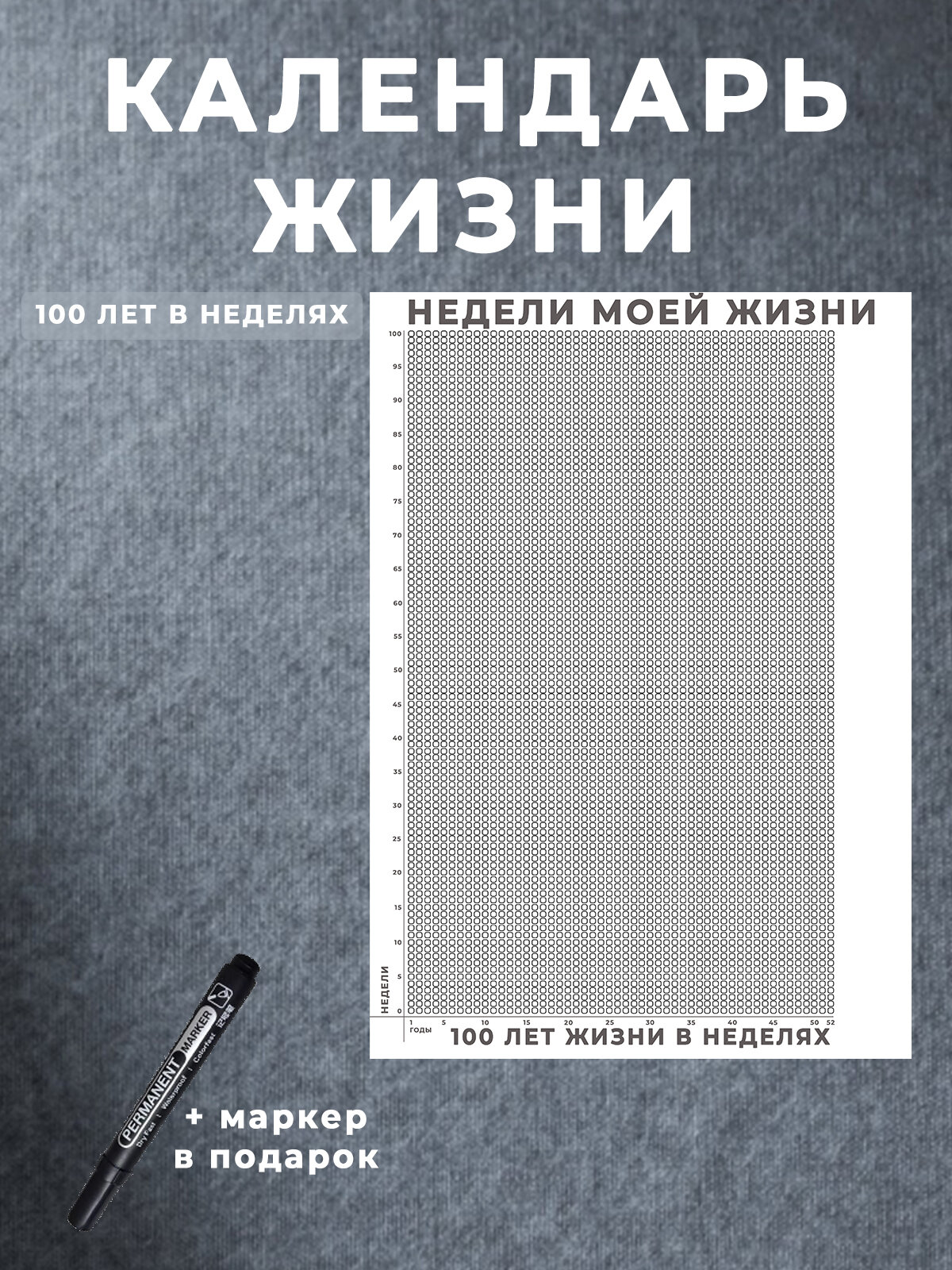 Календарь жизни в неделях, 100 лет, А3