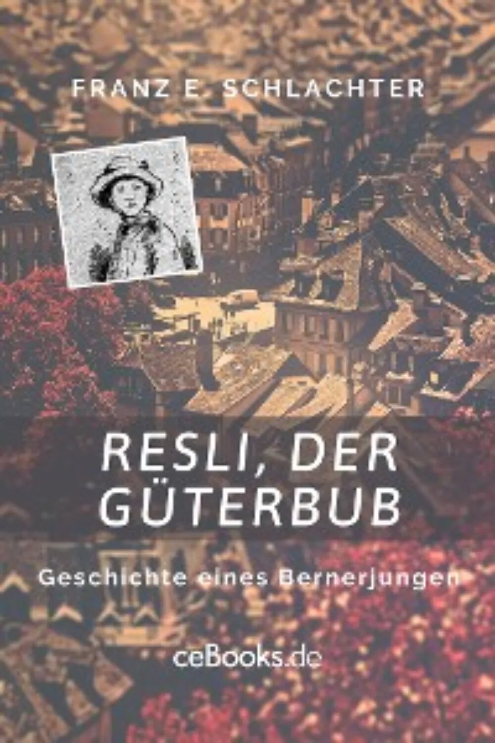 Resli, der Güterbub [Цифровая книга]