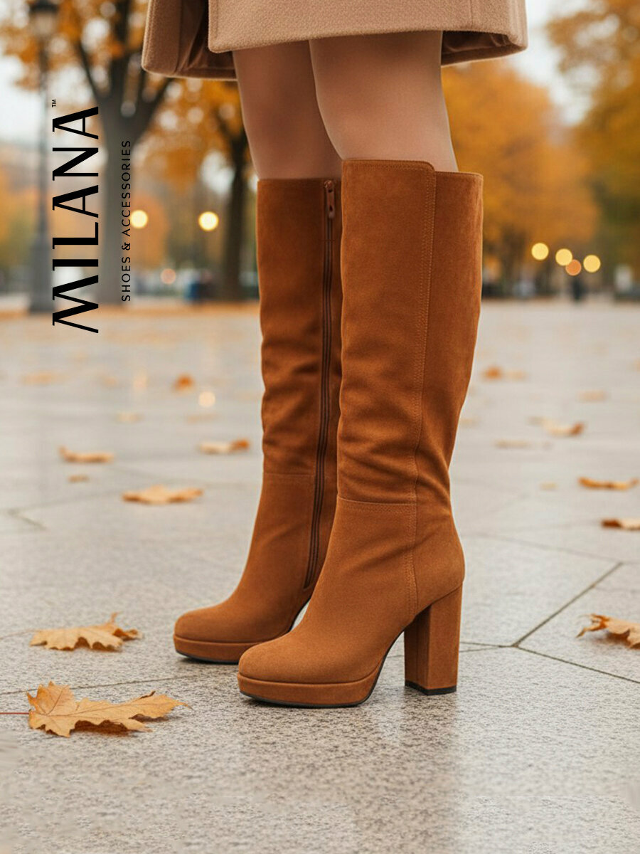 Ботфорты Базовая Осень-Зима