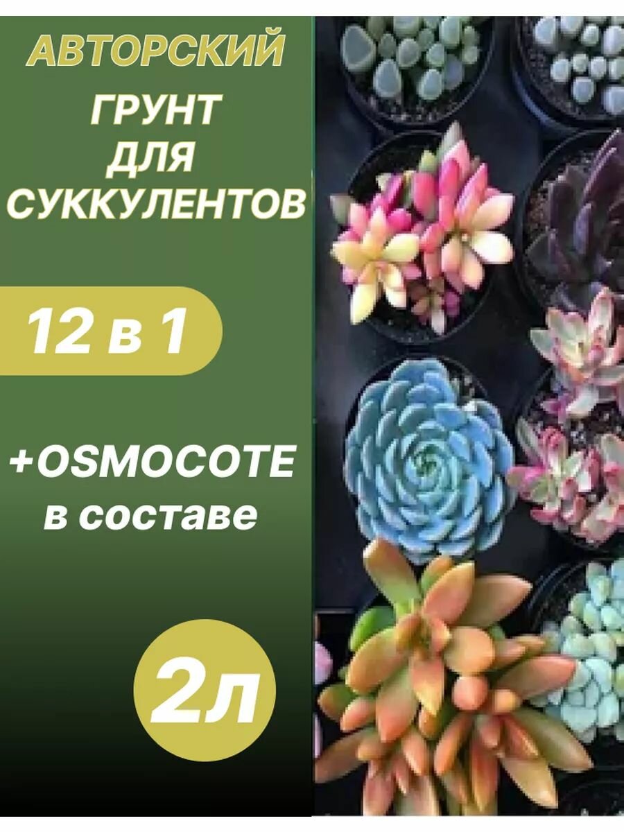 Грунт для Суккулентов 2 л готовый