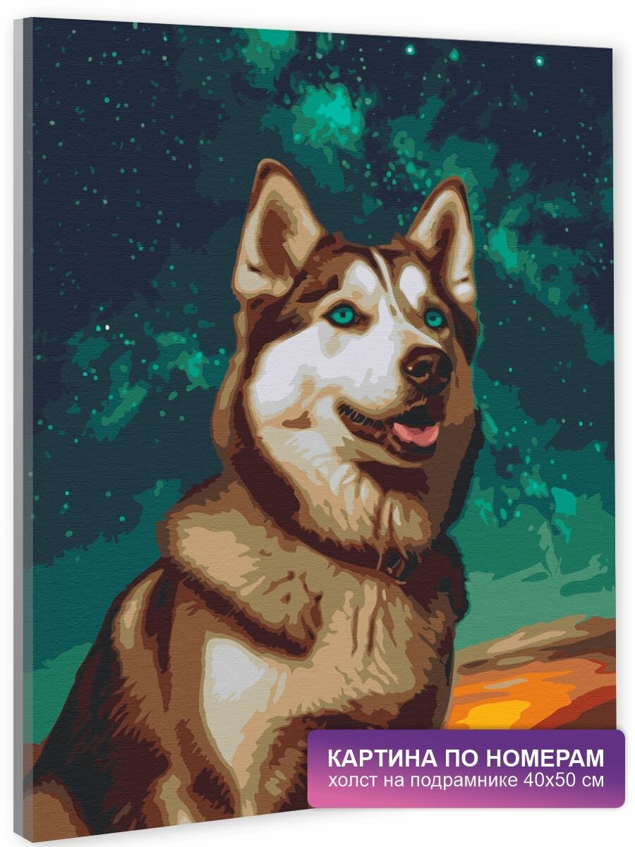 Картина по номерам на холсте с подрамником 40х50 см. Природа, животные, рыбы, птицы. Собаки, щенки. "Хаски", арт. 4959/