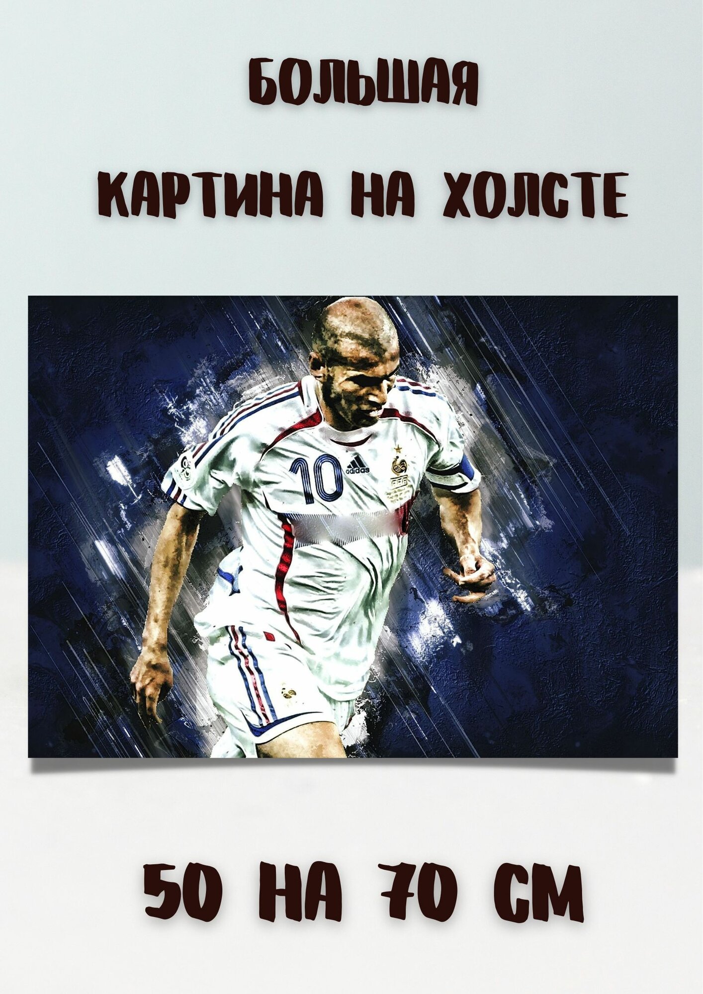 Картина с футболистом Зинедин Зидан - игрок и звезда сборной Франции