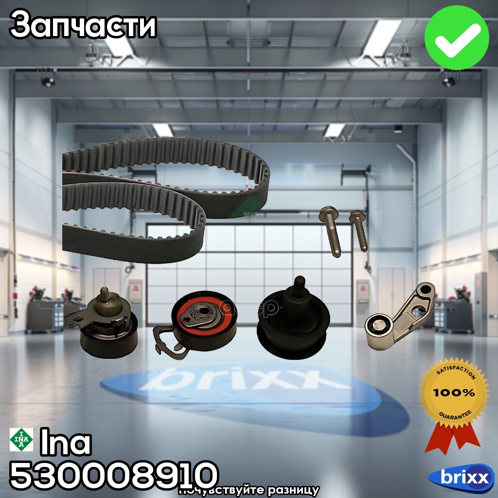 Комплект Роликов Грм | Ina арт. 530008910