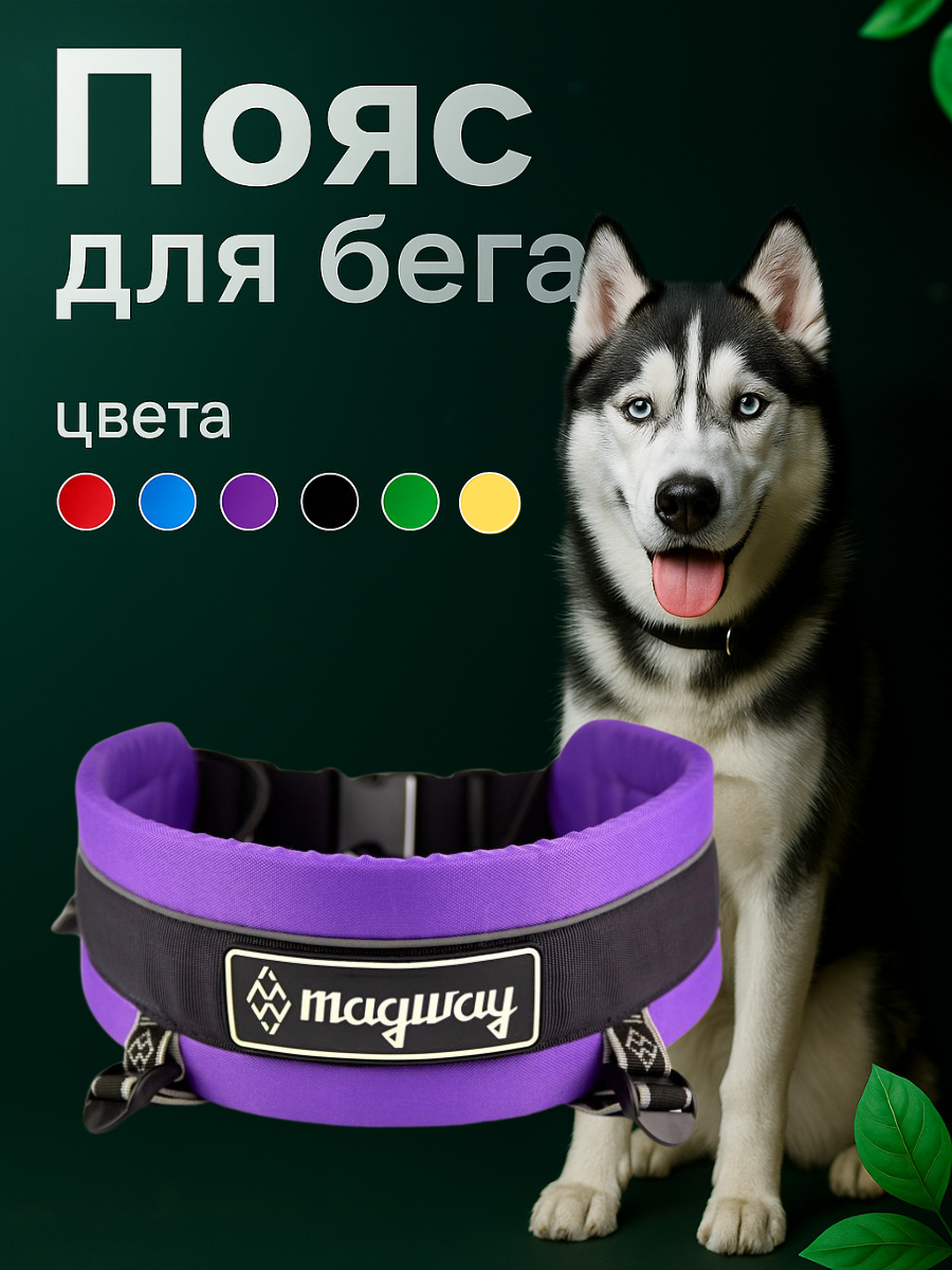 Пояс для бега с собакой, для каникросса, для скиджоринга, для догтреккинга MagWay, для взрослых и детей, цвет фиолетовый