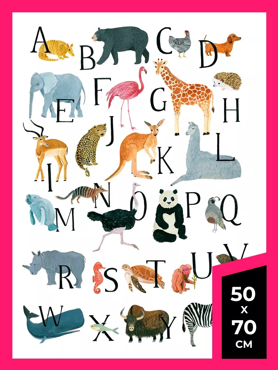 Плакат и постер с английским алфавитом и азбукой животные