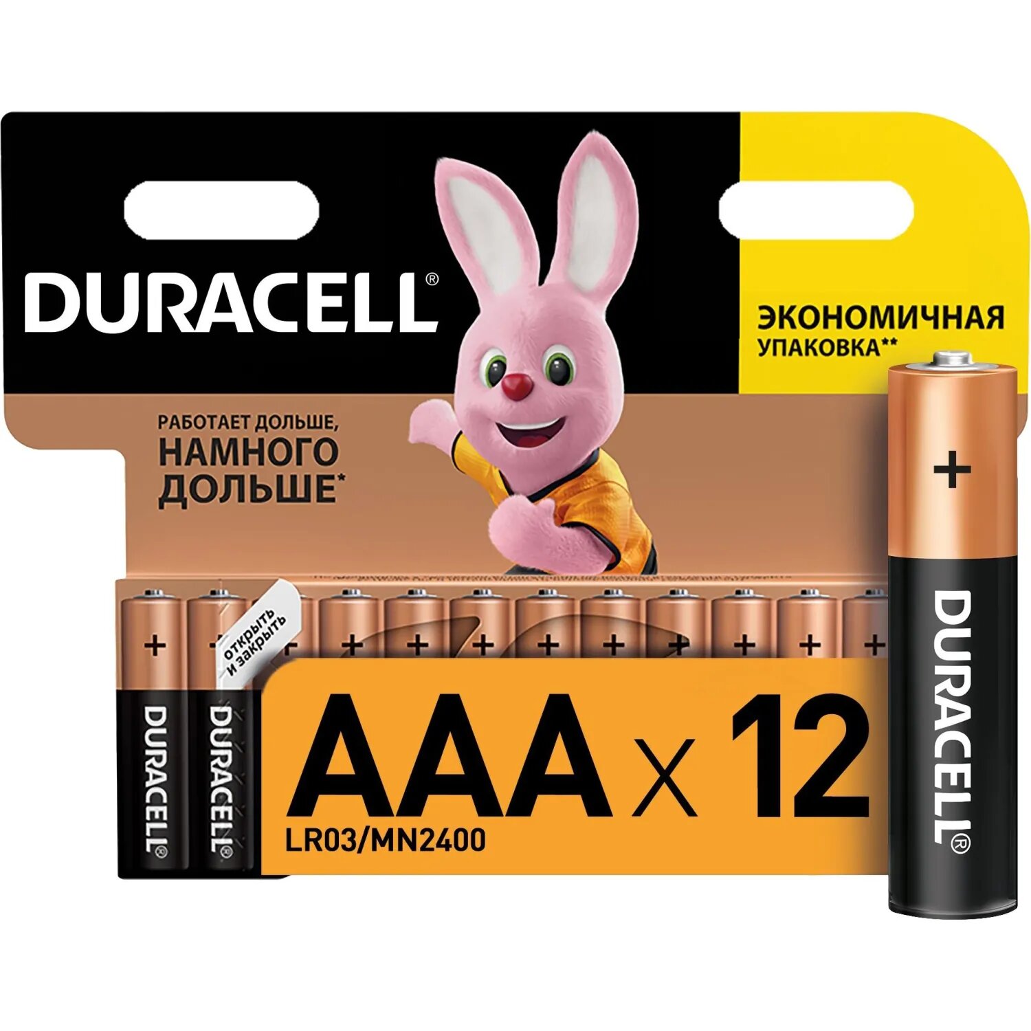 Батарейки DURACELL BASIC ААA/LR03-12BL