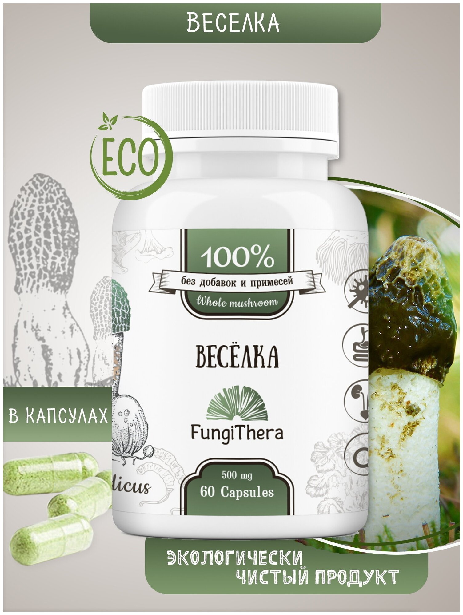 Гриб Весёлка 60 капсул/ веселка в капсулах/ веселка/Phallus impudicus/ FungiThera