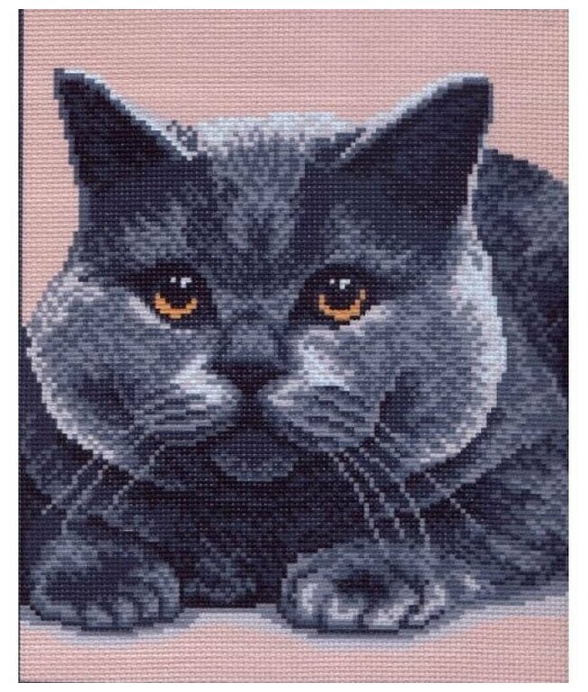 Рисунок на канве Матренин Посад "Британец", 28x37 см