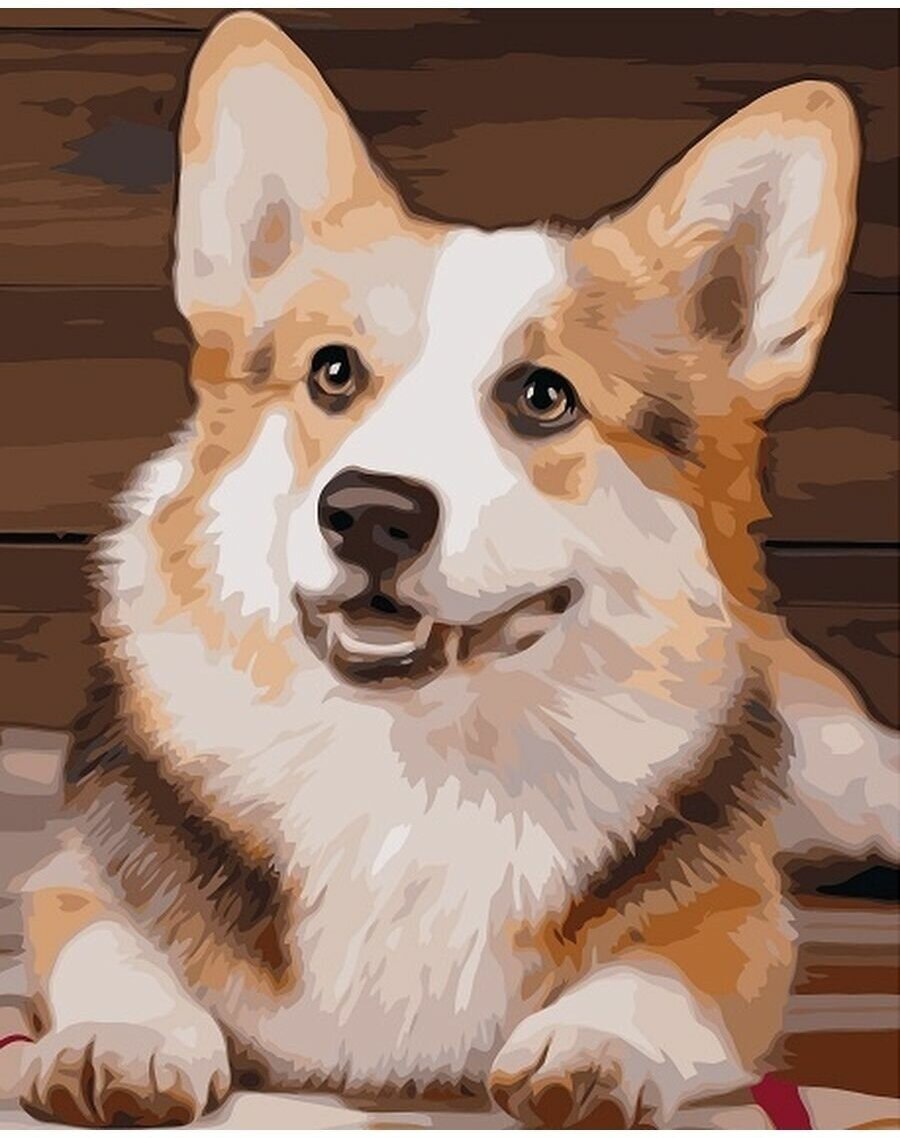 Картина по номерам на хосте 40х50 корги собака