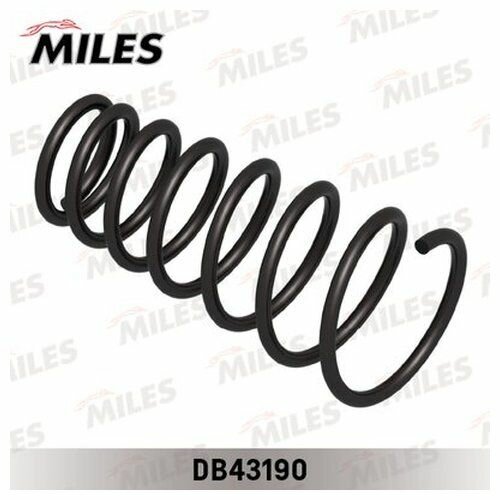 Пружина задней подвески MILES DB43190 для Hyundai Matrix