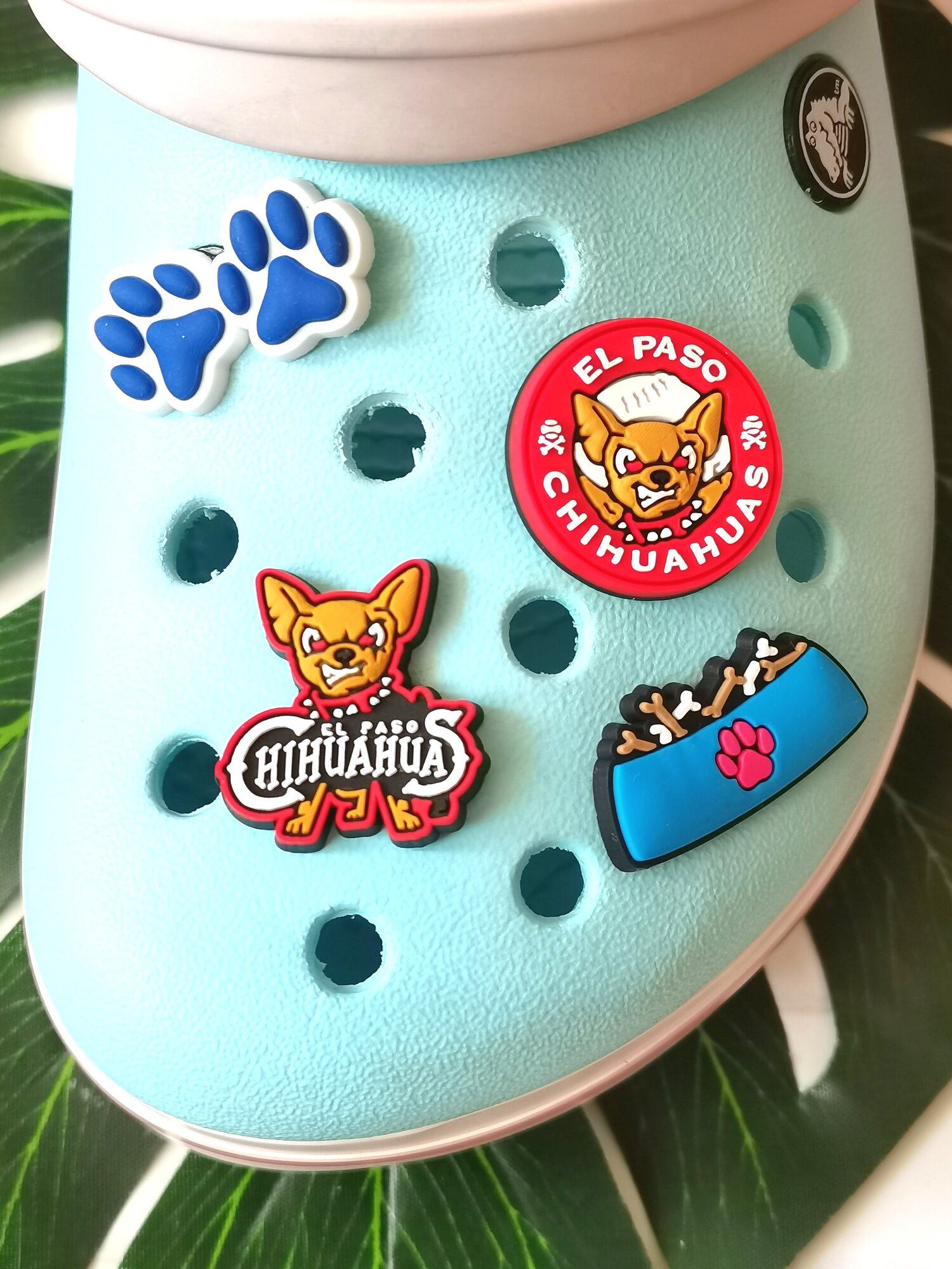 Джибитс для crocs собака Чихуахуа