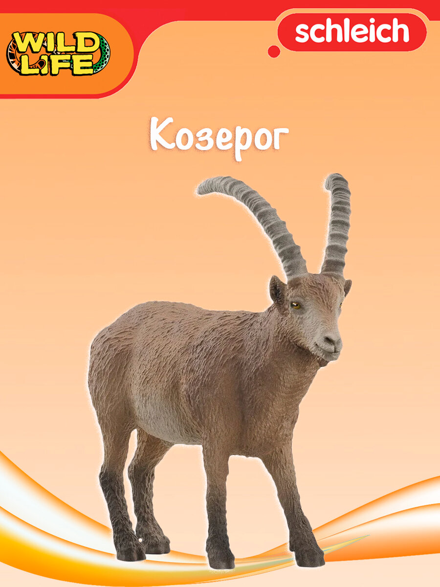 Schleich Wild Life Фигурка "Козерог", для детей от 3 лет, 14873