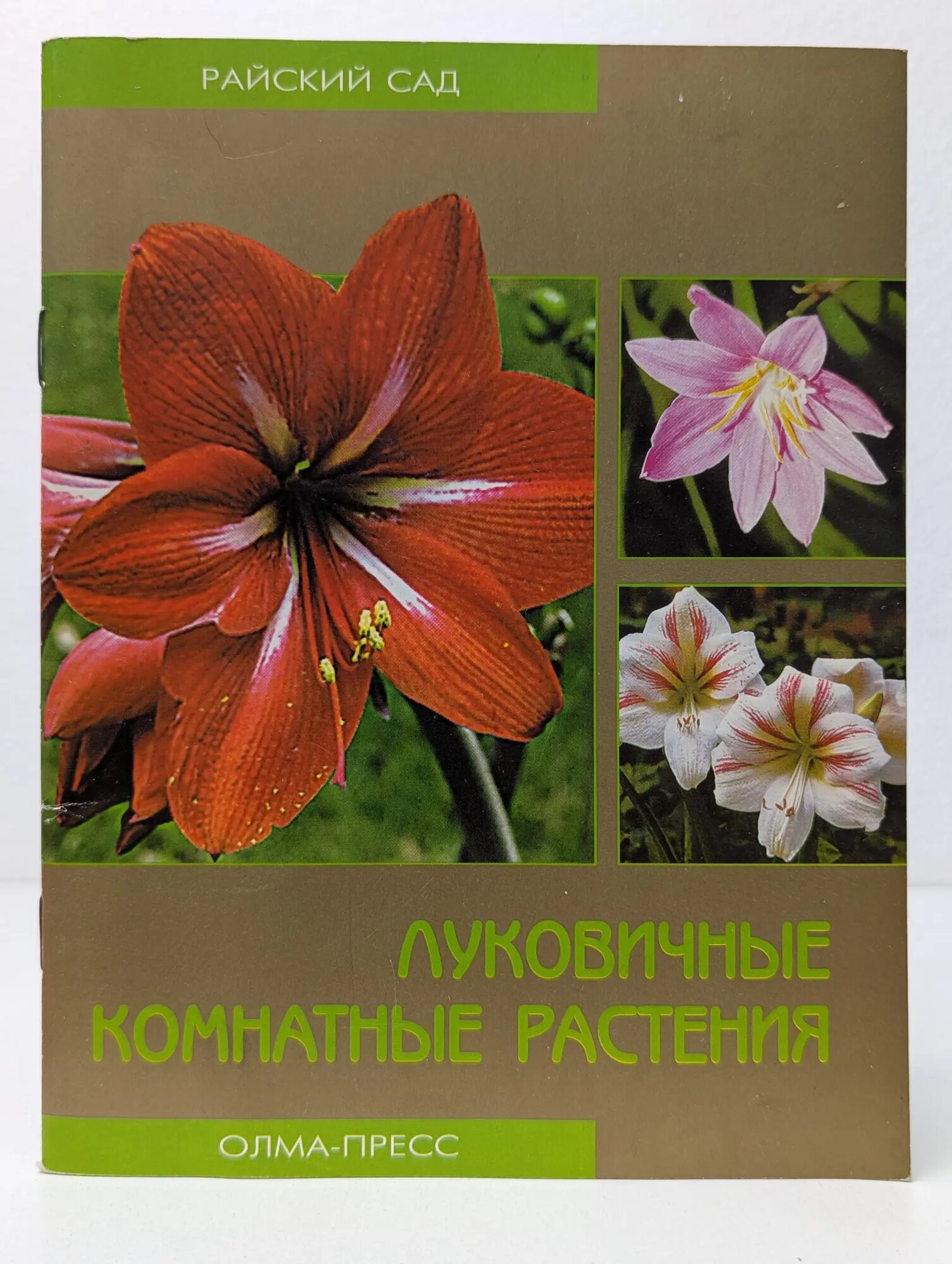 Райский сад. Луковичные комнатные растения Блейз Ольга Степановна 2001