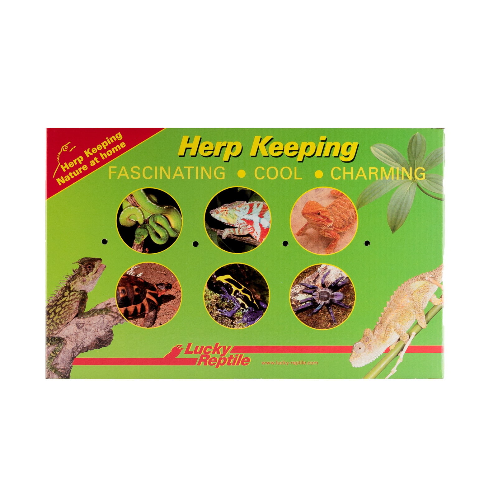 Коробка для транспортировки рептилий LUCKY REPTILE , 27x9x17cм (Германия)
