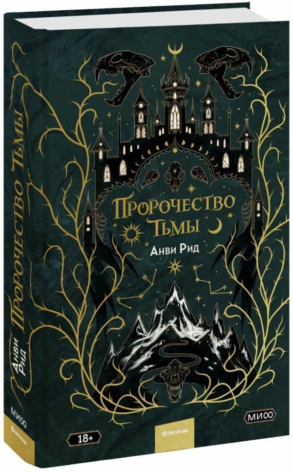 Книга Манн, Иванов и Фербер Red Violet. Темные миры. Пророчество тьмы. 2023 год, А. Рид