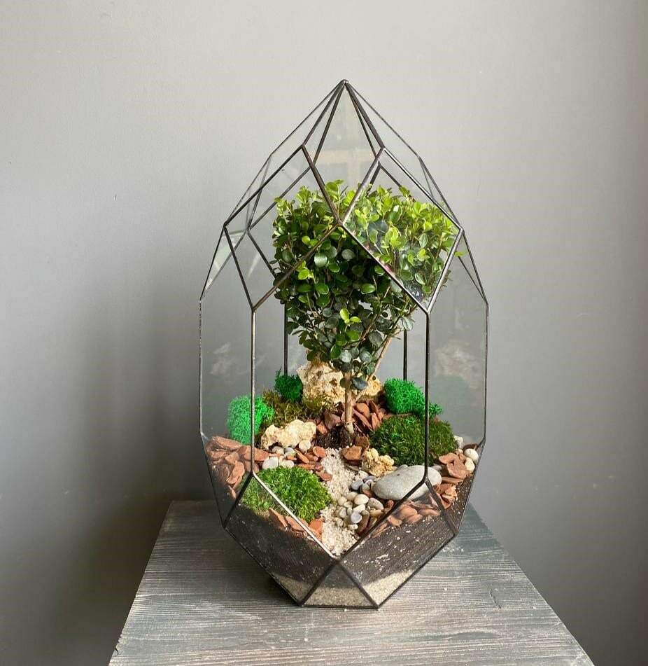 Флорариум "Сиеста"