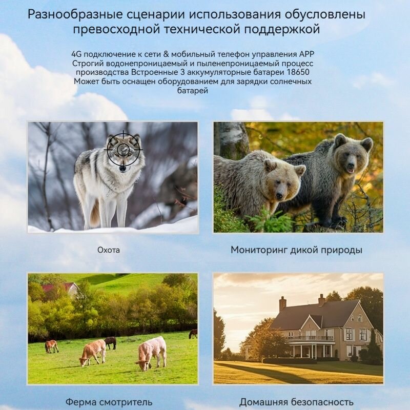 Фотоловушка — фото 1